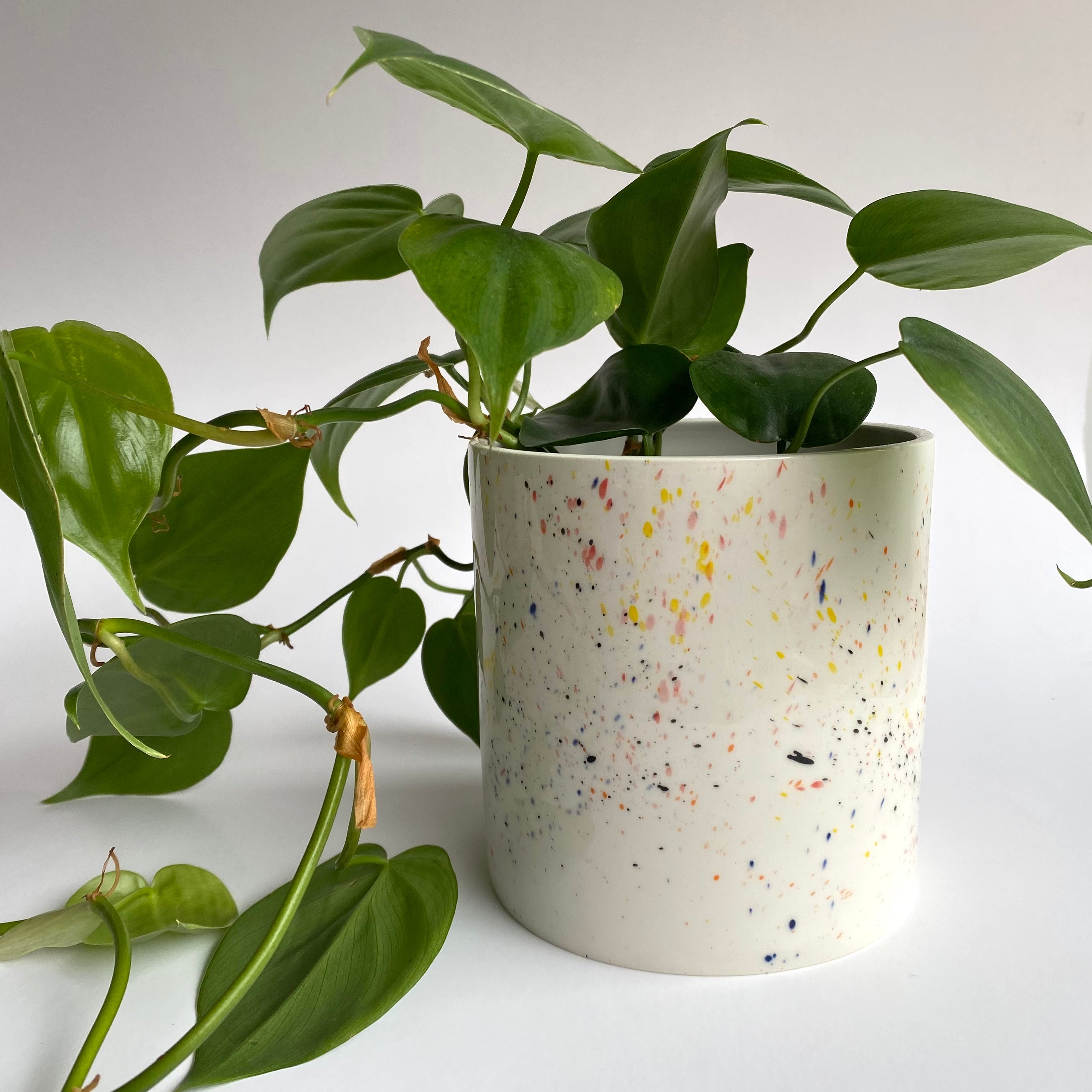 PLANTERS – Potterbee